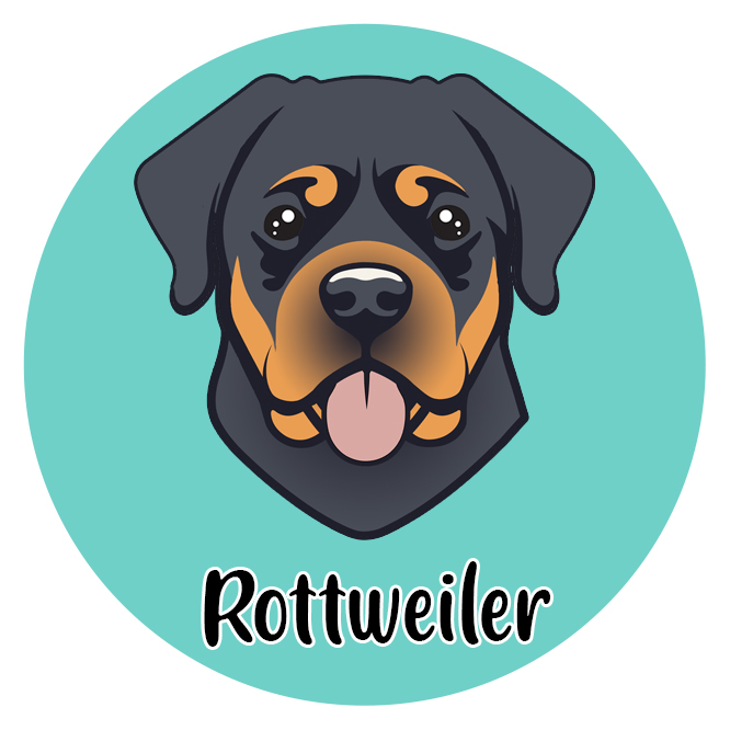 Rottweiler – Spoilt Rotten Pets