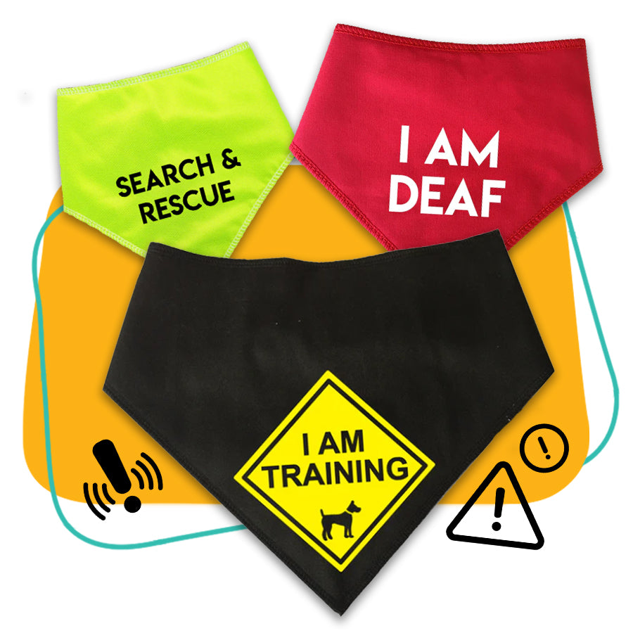 Spoilt Rotten Pets | Custom Pet Products, Unique Gifts & More