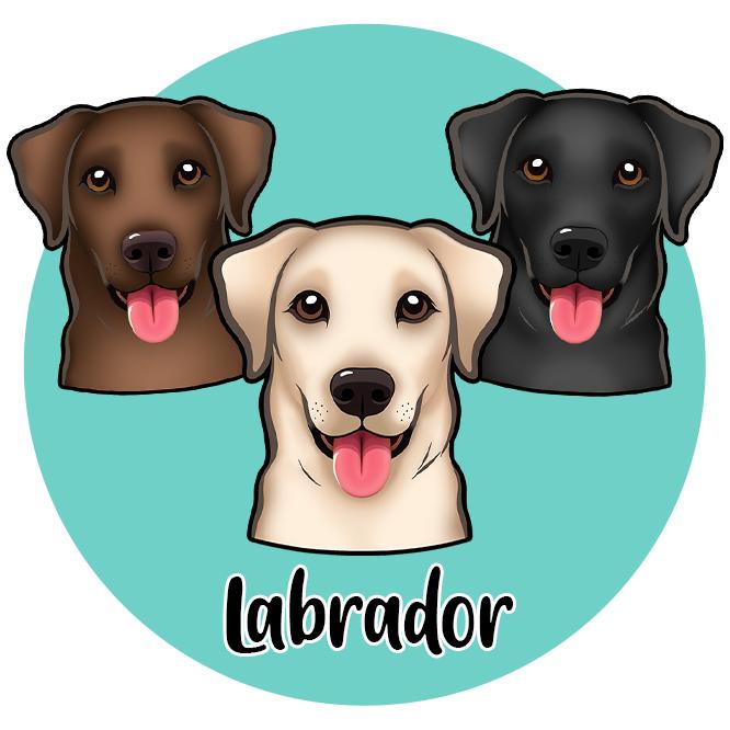 Labrador – Spoilt Rotten Pets