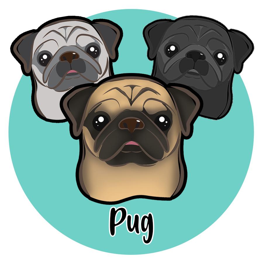 Pug – Spoilt Rotten Pets