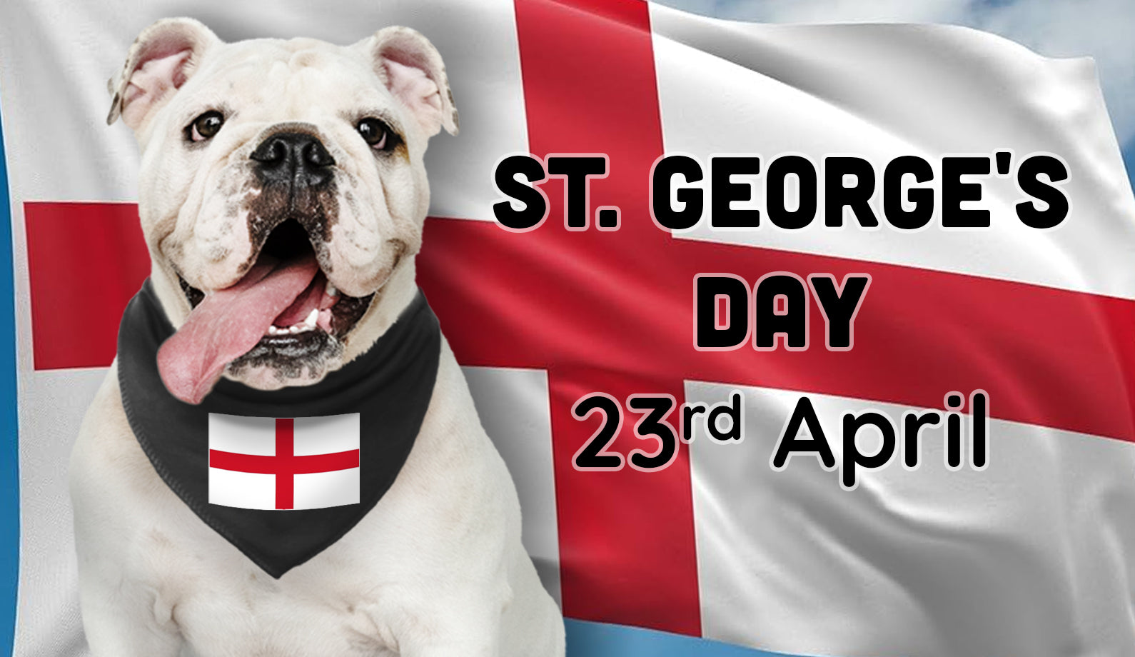 Spoilt Rotten Pets | Custom Pet Products, Unique Gifts & More