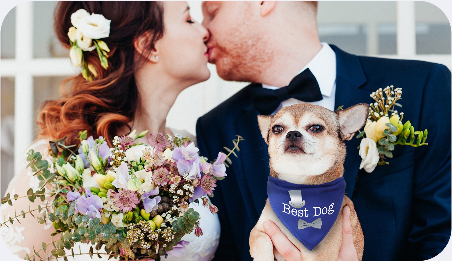 Wedding & Proposal Dog Bandanas – Spoilt Rotten Pets