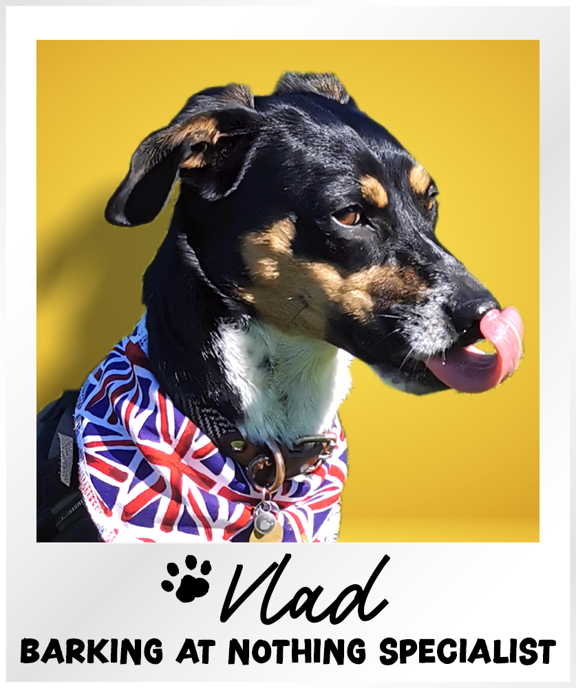 Meet The Team – Spoilt Rotten Pets